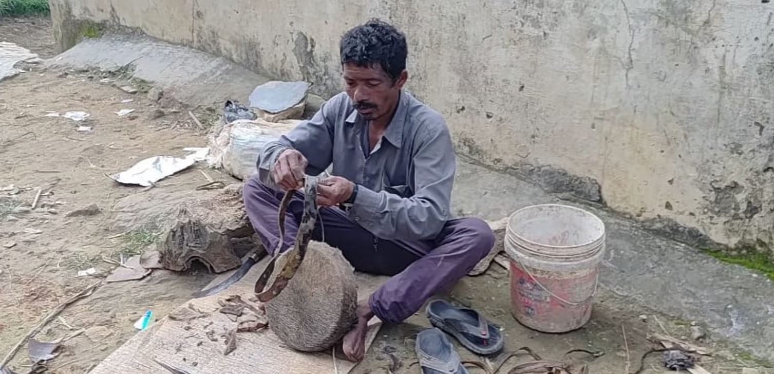 सङ्कटमा दमाहा बखर्ने पेसा